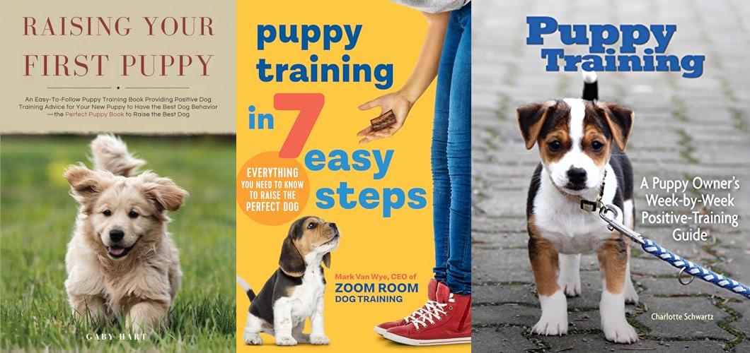 Top 5 Puppy Training Tips: Your Essential Guide - AnimalsPick