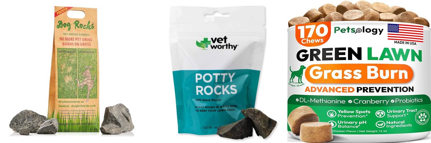 Top 5 Rocks for Dog Runs: Your Ultimate Guide - AnimalsPick