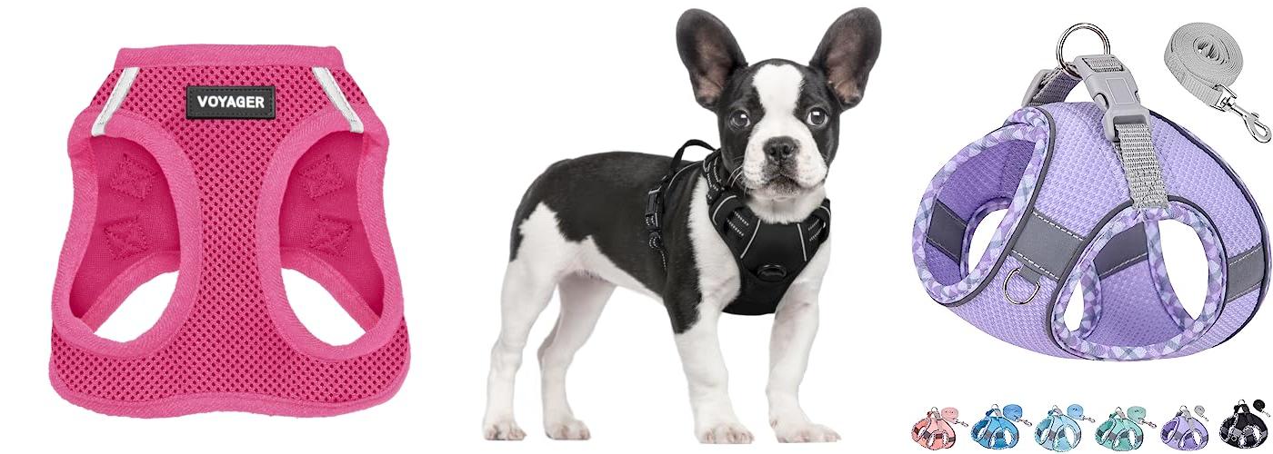 Best Small Dog Harnesses - Top 5 Picks & Review - AnimalsPick