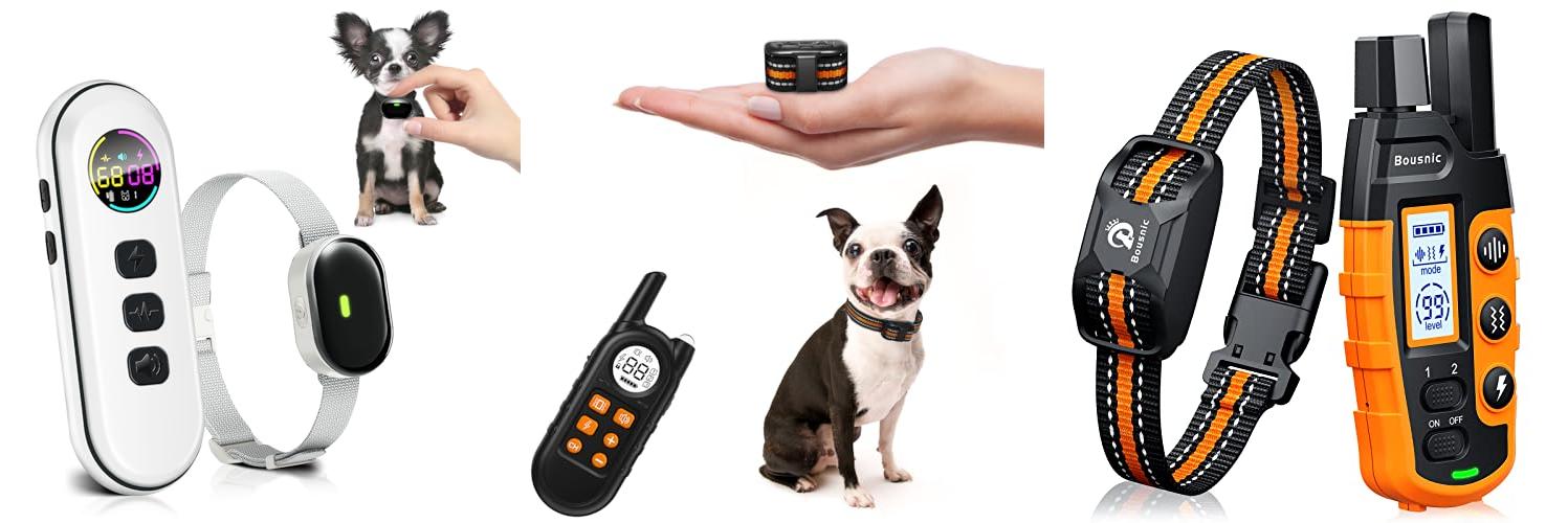 Best Small Dog Training Collars - Top 5 Picks & Review - AnimalsPick