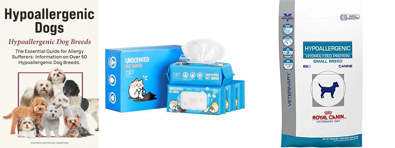 Best Small Hypoallergenic Dog - Top 5 Picks & Review - AnimalsPick
