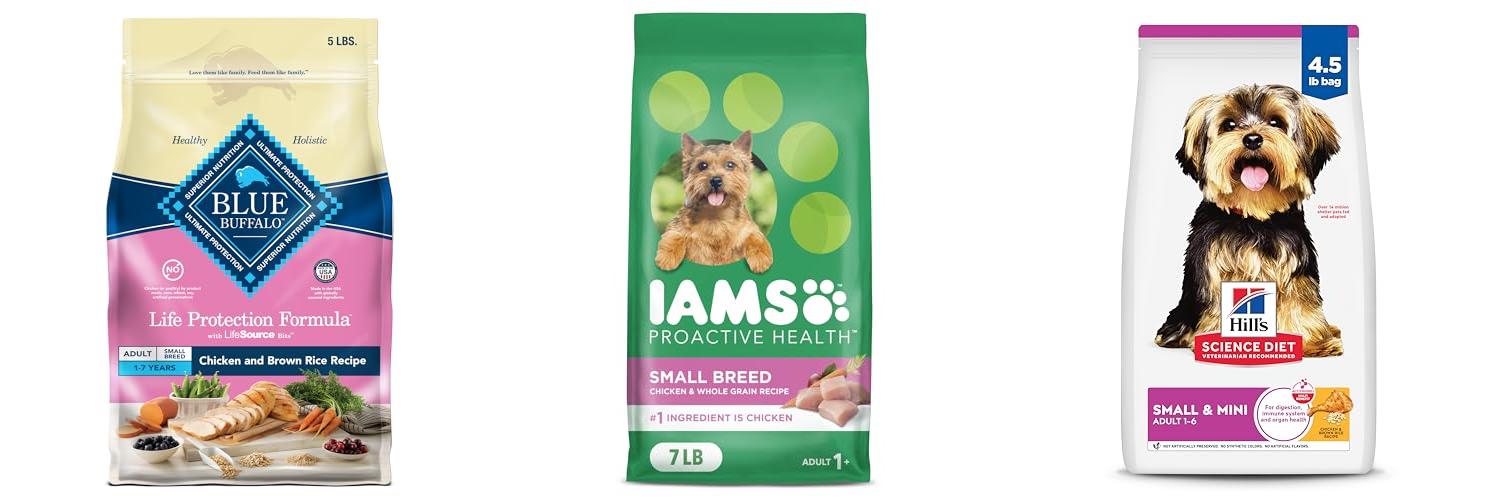 Top 5 Small Medium Dog Breeds: Review & Picks - AnimalsPick