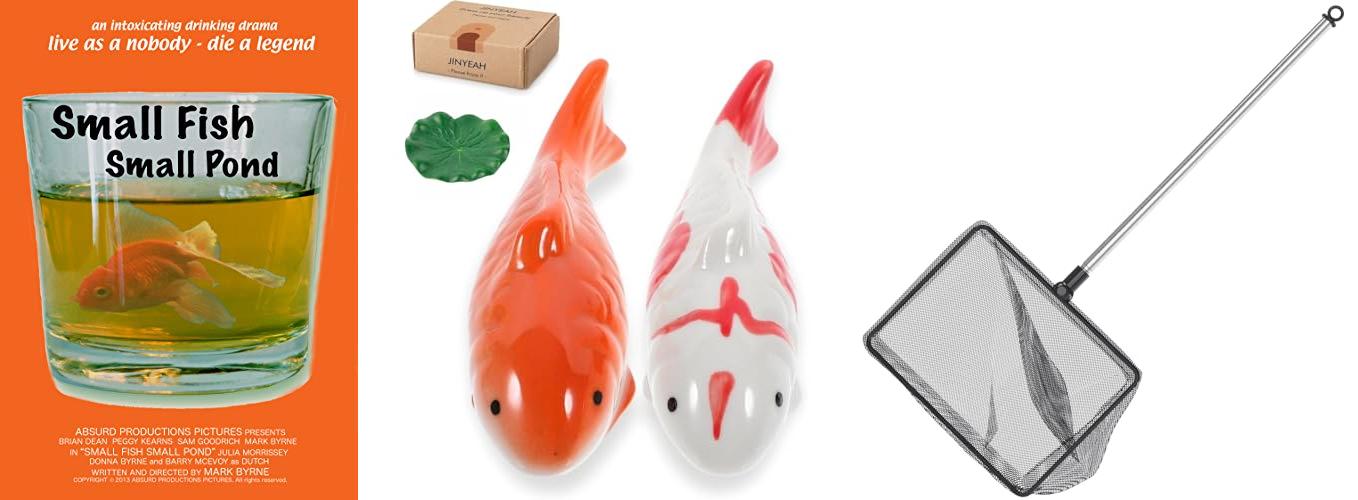 Top 5 Small Pond Fish: Your Essential Buying Guide - AnimalsPick