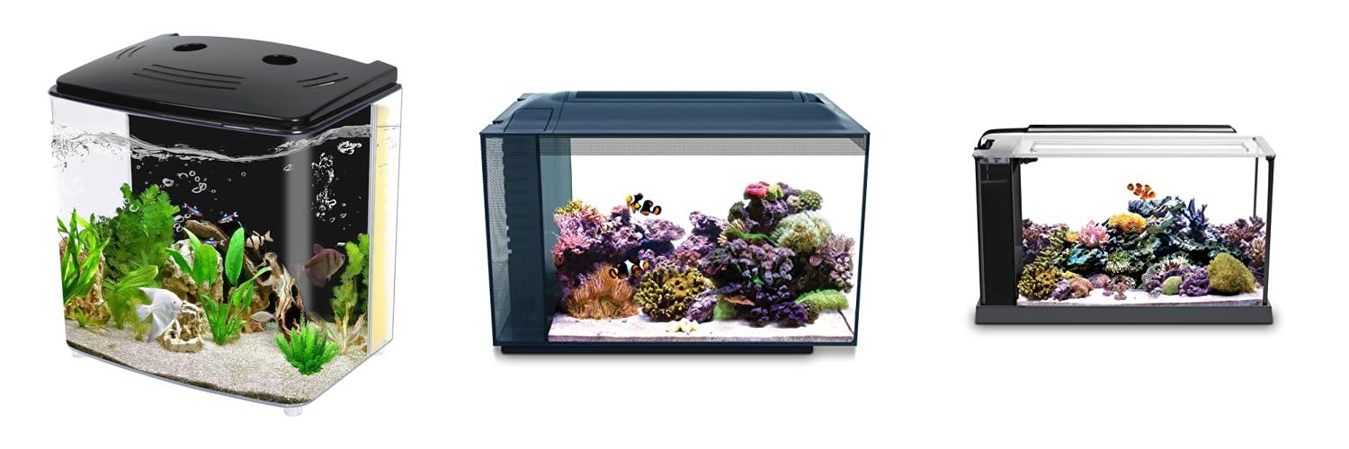 Top 5 Small Saltwater Fish Tanks: Your Easy Guide - AnimalsPick