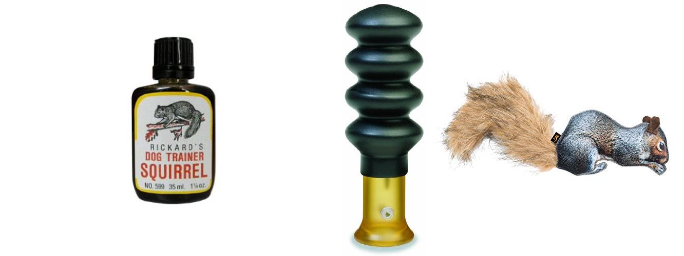 Top 5 Squirrel Hunting Dogs: Your Ultimate Guide - AnimalsPick