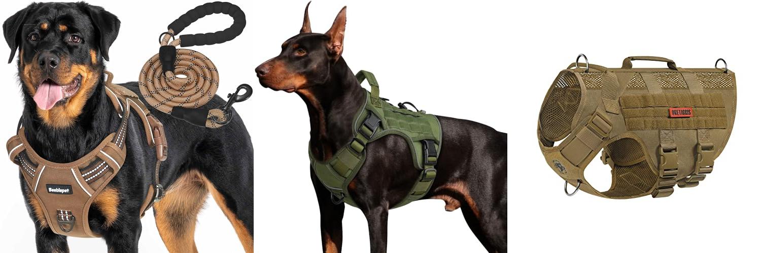 Top 5 Tactical Dog Harnesses: Your Ultimate Guide - AnimalsPick