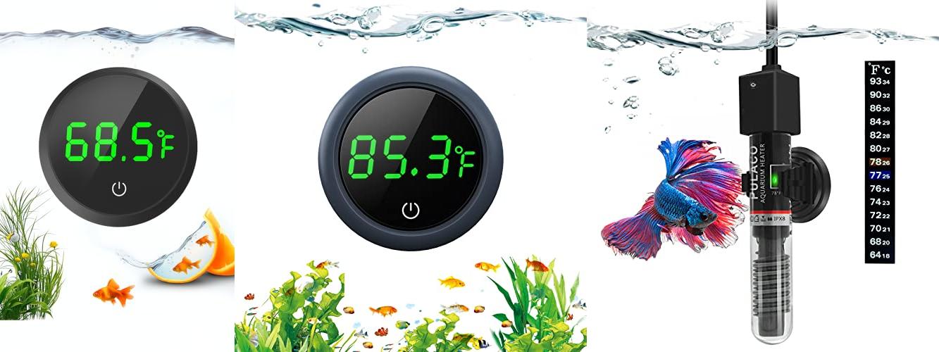 Top 5 Temp For Fish Tank: Best Picks & Review - AnimalsPick