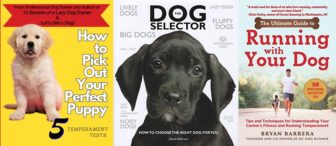 Best Temperament Dog - Top 5 Picks & Review - AnimalsPick