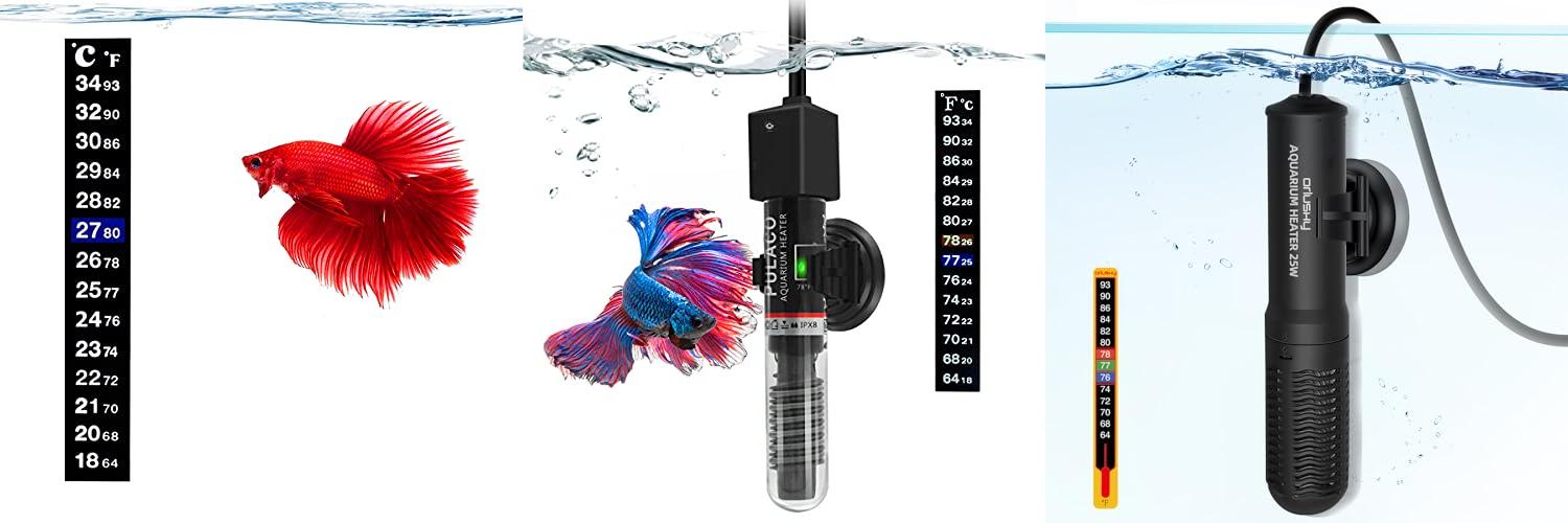 Best Temperature Betta Fish - Top 5 Picks & Review - AnimalsPick