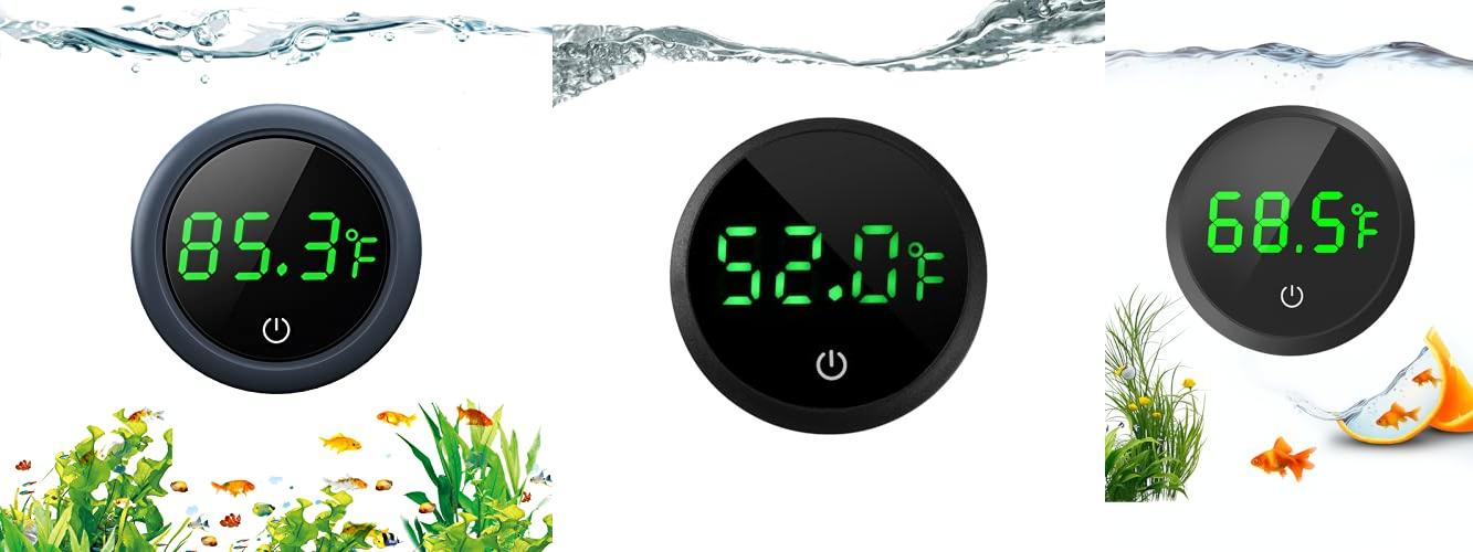 Top 5 Fish Tank Thermometers: Your Essential Buying Guide - AnimalsPick