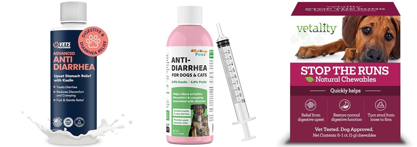 Dog Diarrhea Food Guide: Top 5 Options Reviewed - AnimalsPick