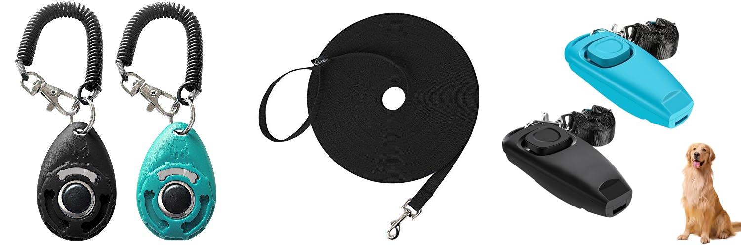 Top 5 Dog Training Tools: Your Essential Guide - AnimalsPick