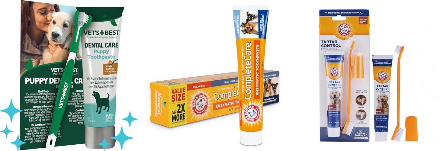 Top 5 Puppy Toothpaste: Your Essential Buying Guide - AnimalsPick