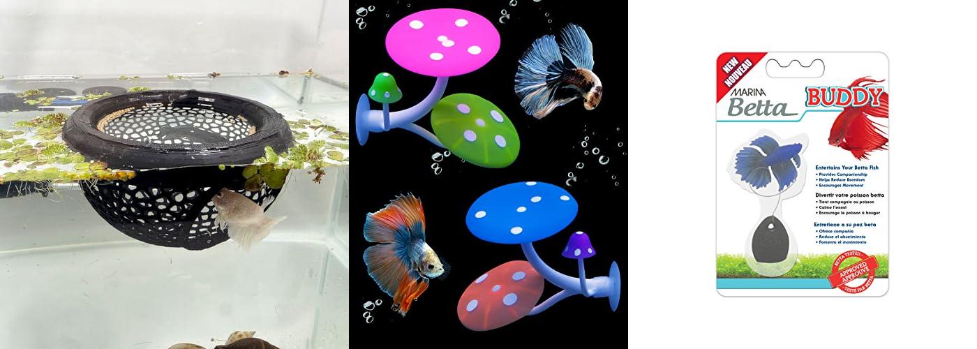 Top 5 Betta Fish Toys: Keep Your Fish Active & Happy - AnimalsPick