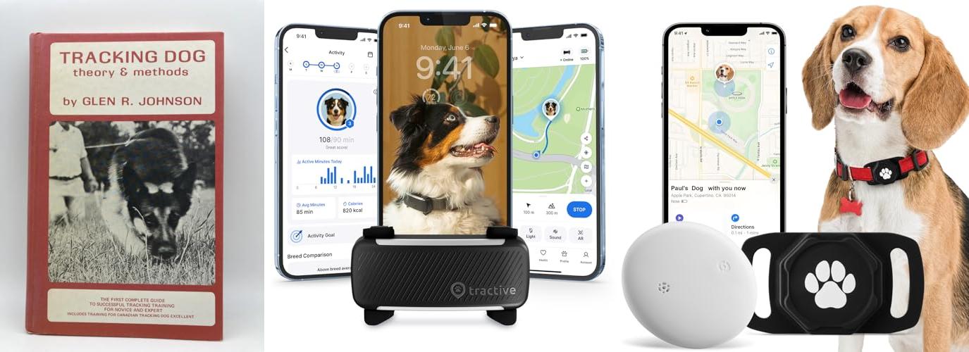 Best Tracking Dog - Top 5 Picks & Review - AnimalsPick