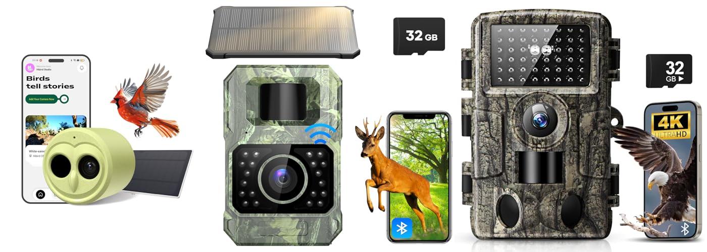 Top 5 Trail Cameras for Bird Watching: Your Guide - AnimalsPick
