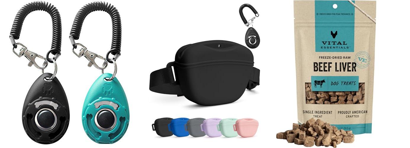 Top 5 Dog Training Tools: Essential Gear Guide - AnimalsPick