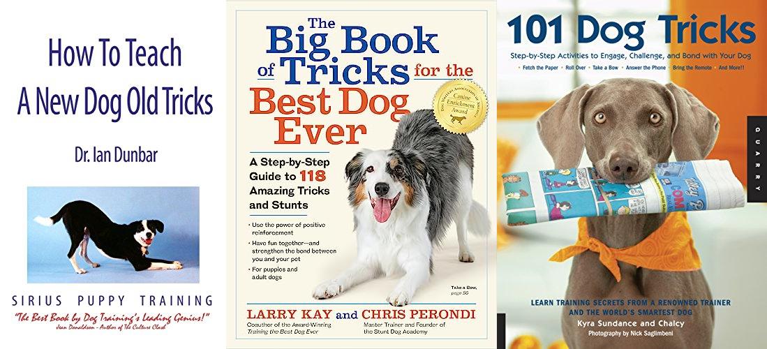 Best Tricks To Teach A Dog - Top 5 Picks & Review - AnimalsPick
