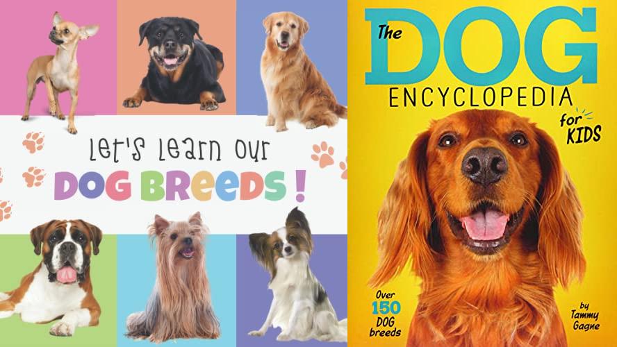 Best Type Of Dog - Top 5 Picks & Review - AnimalsPick