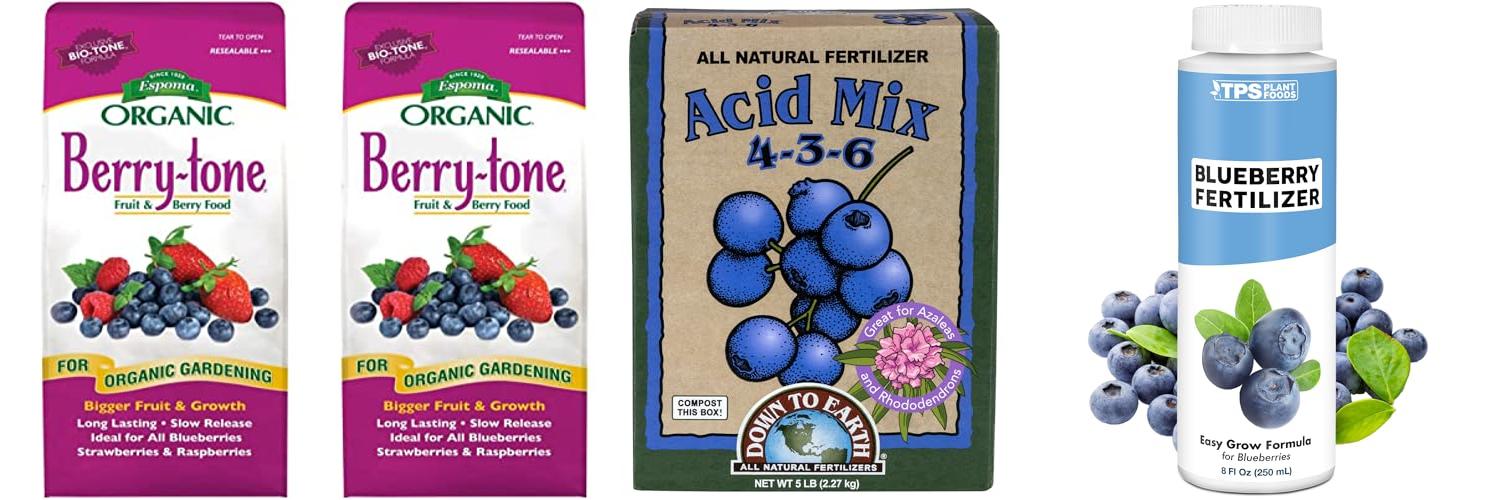 Top 5 Blueberry Fertilizers: Grow Bigger Berries - AnimalsPick