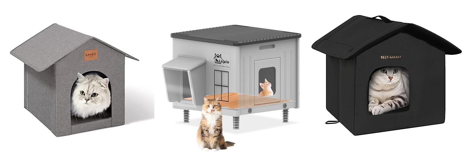 Top 5 Breed House Cat: Your Perfect Companion Guide - AnimalsPick