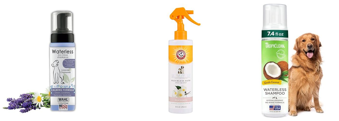 Top 5 Dry Shampoos For Dogs: Your Quick Guide - AnimalsPick