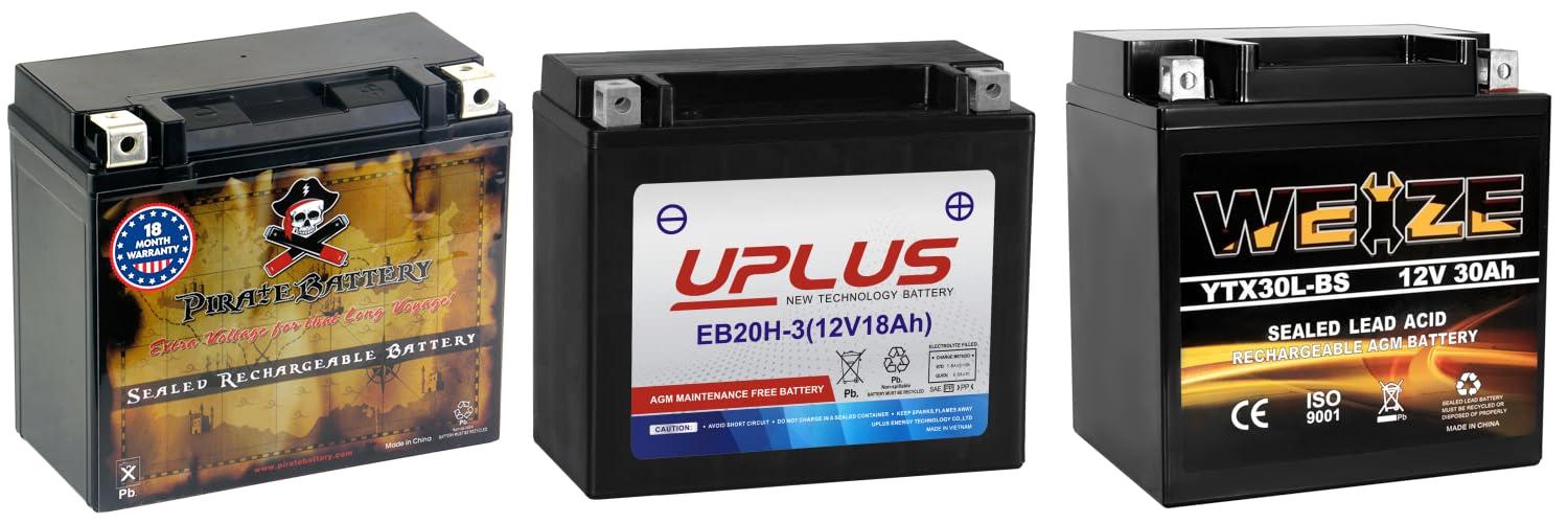 Top 5 Harley Battery Options: Your Buying Guide - AnimalsPick