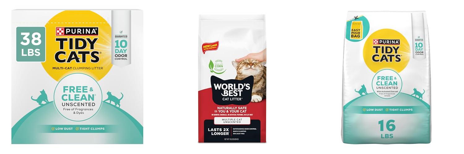 Best Cat Litter For Cats With Allergies