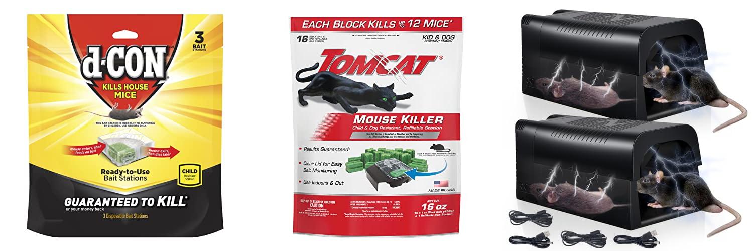Mouse Killer Guide: Top 5 Effective Solutions - AnimalsPick