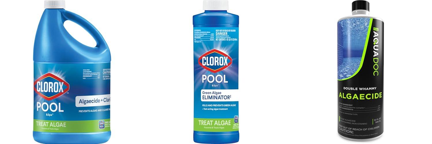 Top 5 Pool Algaecides for Green Algae: Your Guide - AnimalsPick