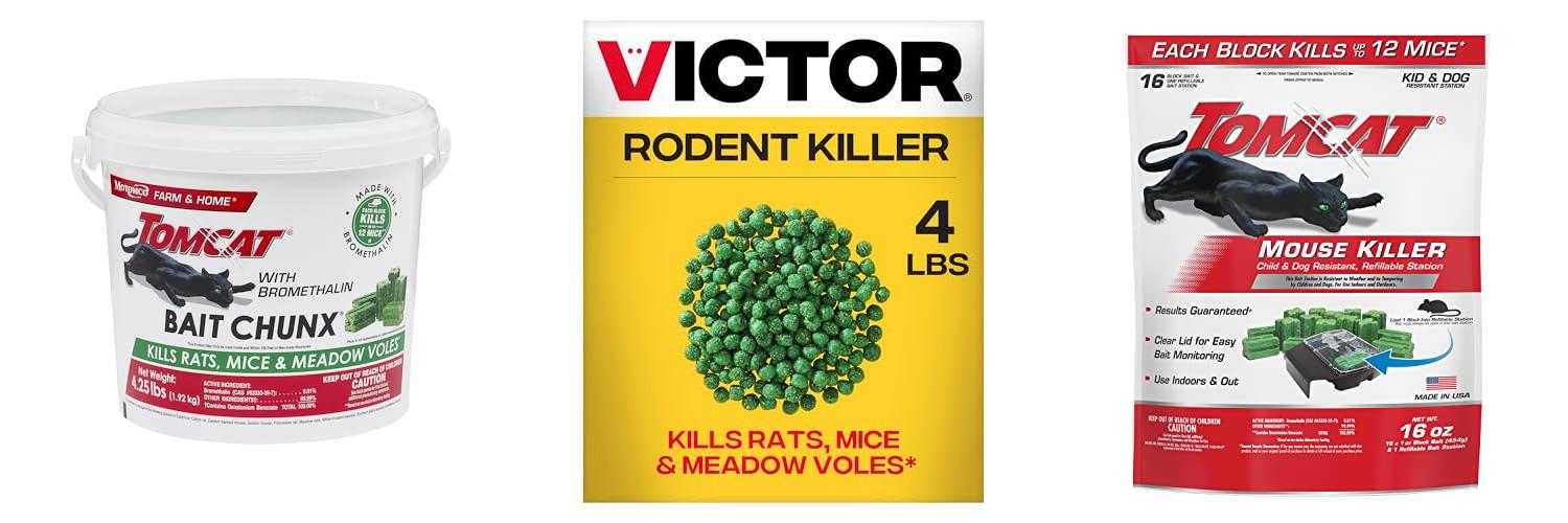 Best Rat & Mouse Poison: 5 Top Picks Reviewed - AnimalsPick