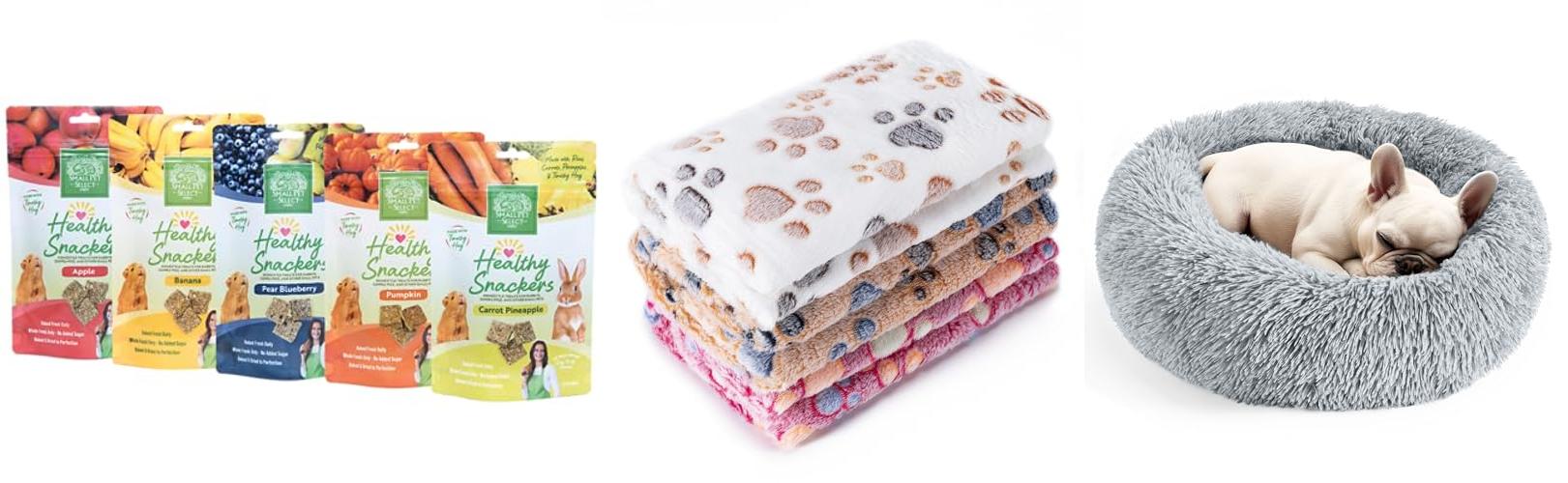 Best Small Pet - Top 5 Picks & Review - AnimalsPick