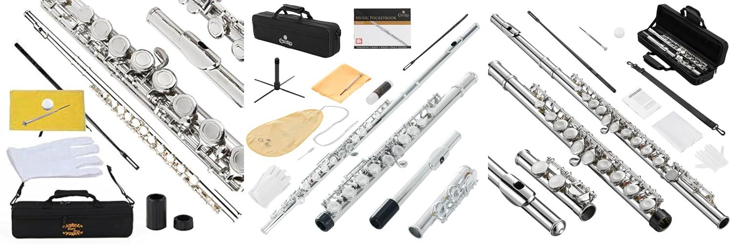 Top 5 Starter Flutes: Your Ultimate Buying Guide - AnimalsPick