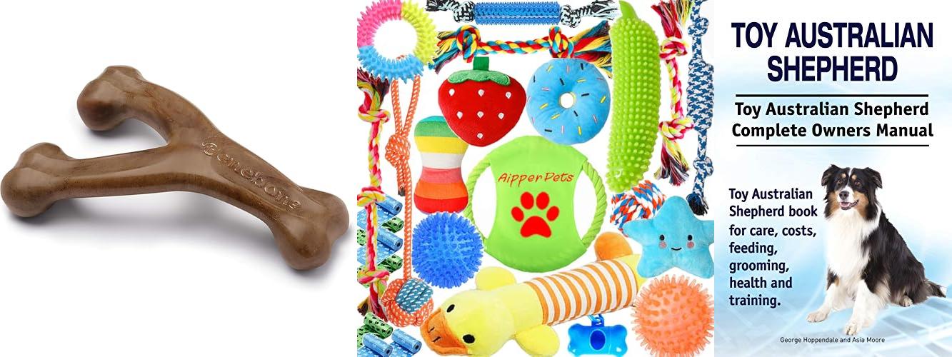 Best Toys For Australian Shepherd - Top 5 Picks & Review - AnimalsPick